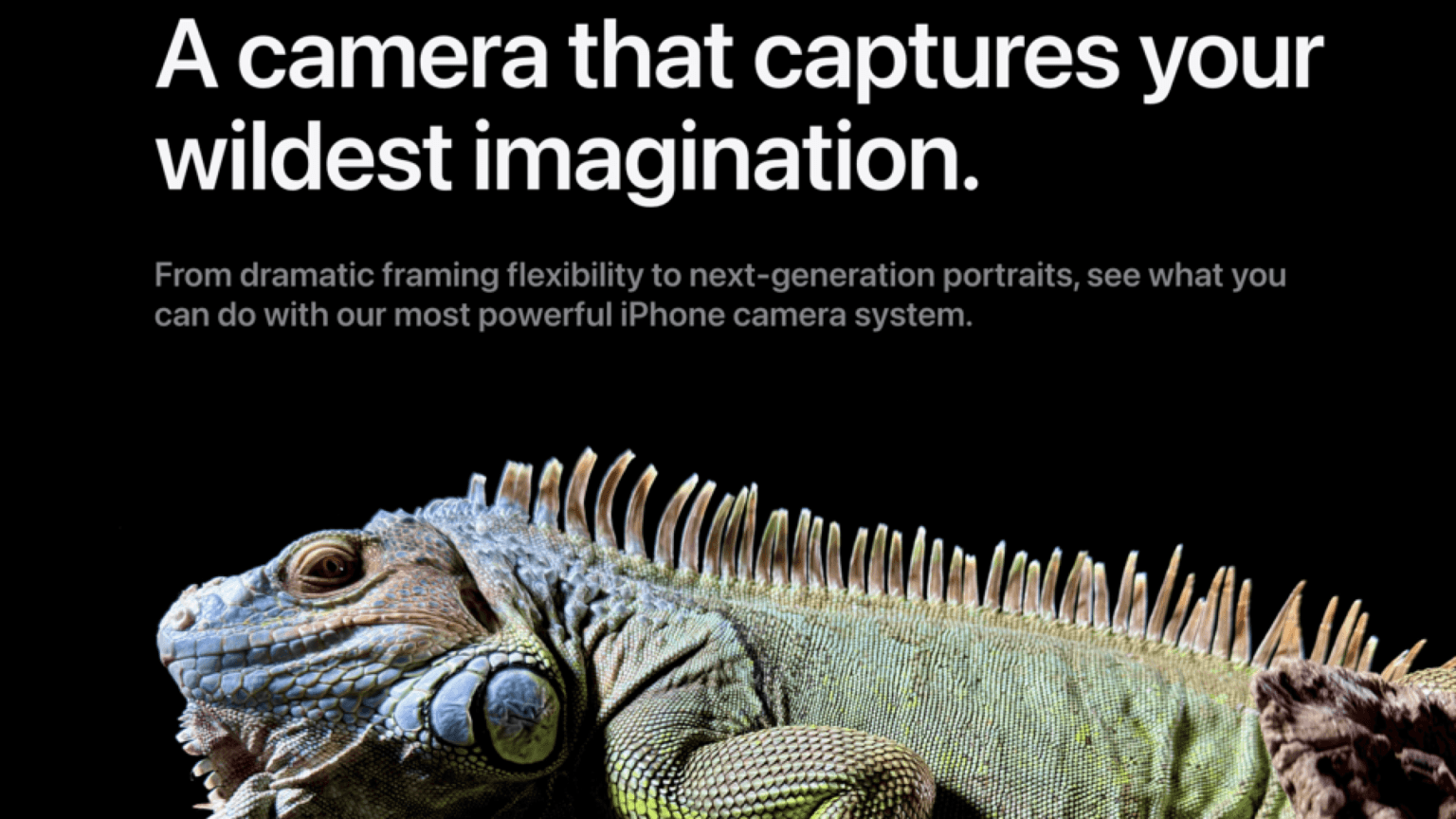 12 SEO Examples From Taylor Swift, Apple, NerdWallet, & More