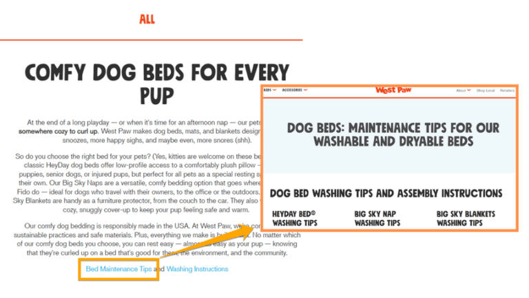 What Is Anchor Text? + 6 Best Practices to Optimize It