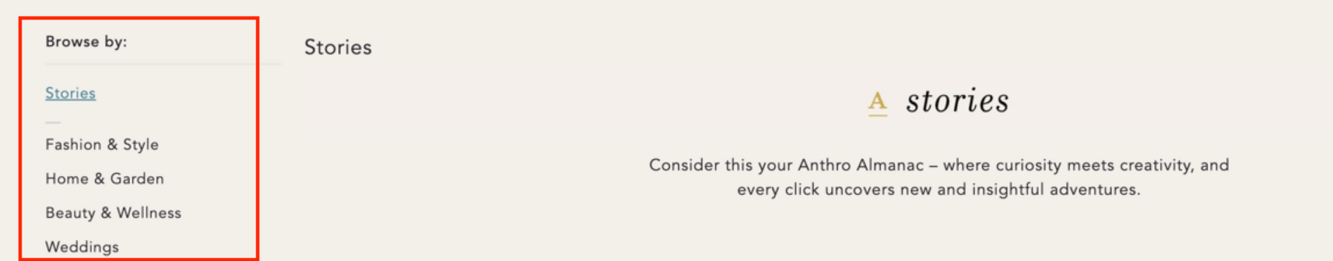 10 SEO Tips for Blogs to Boost Your Rankings (+ Examples)