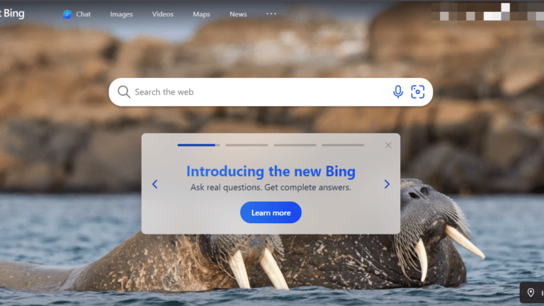 Google vs. Bing: The Search Engine Debate - SEO.com