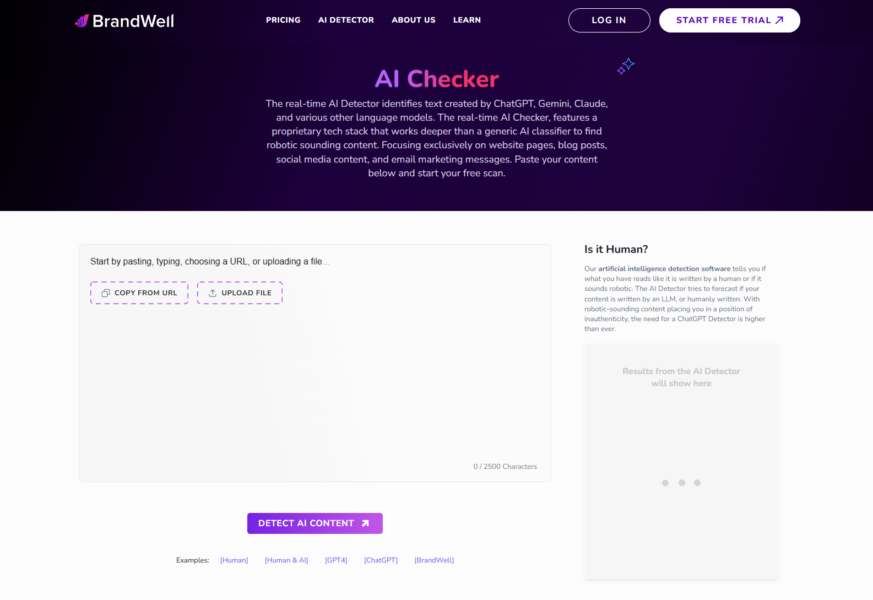 Best AI Detectors in 2025 (Free + Paid Picks Ranked & Tested)